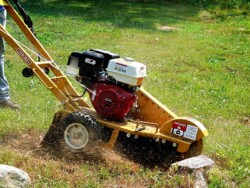 Stumpgrinder-Mini Work Force Rayco RG13 II – Mechanicsville Rental Center
